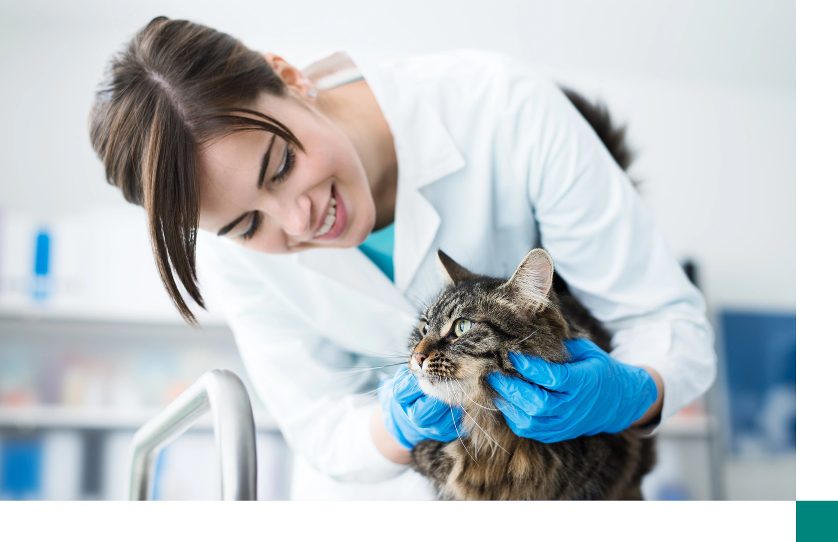 MSD Animal Health Norge